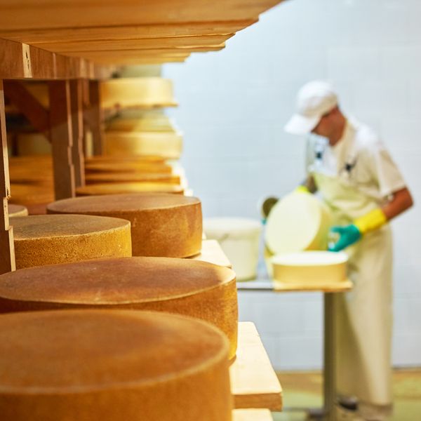 Pollux Staffing Agency - Job Overview